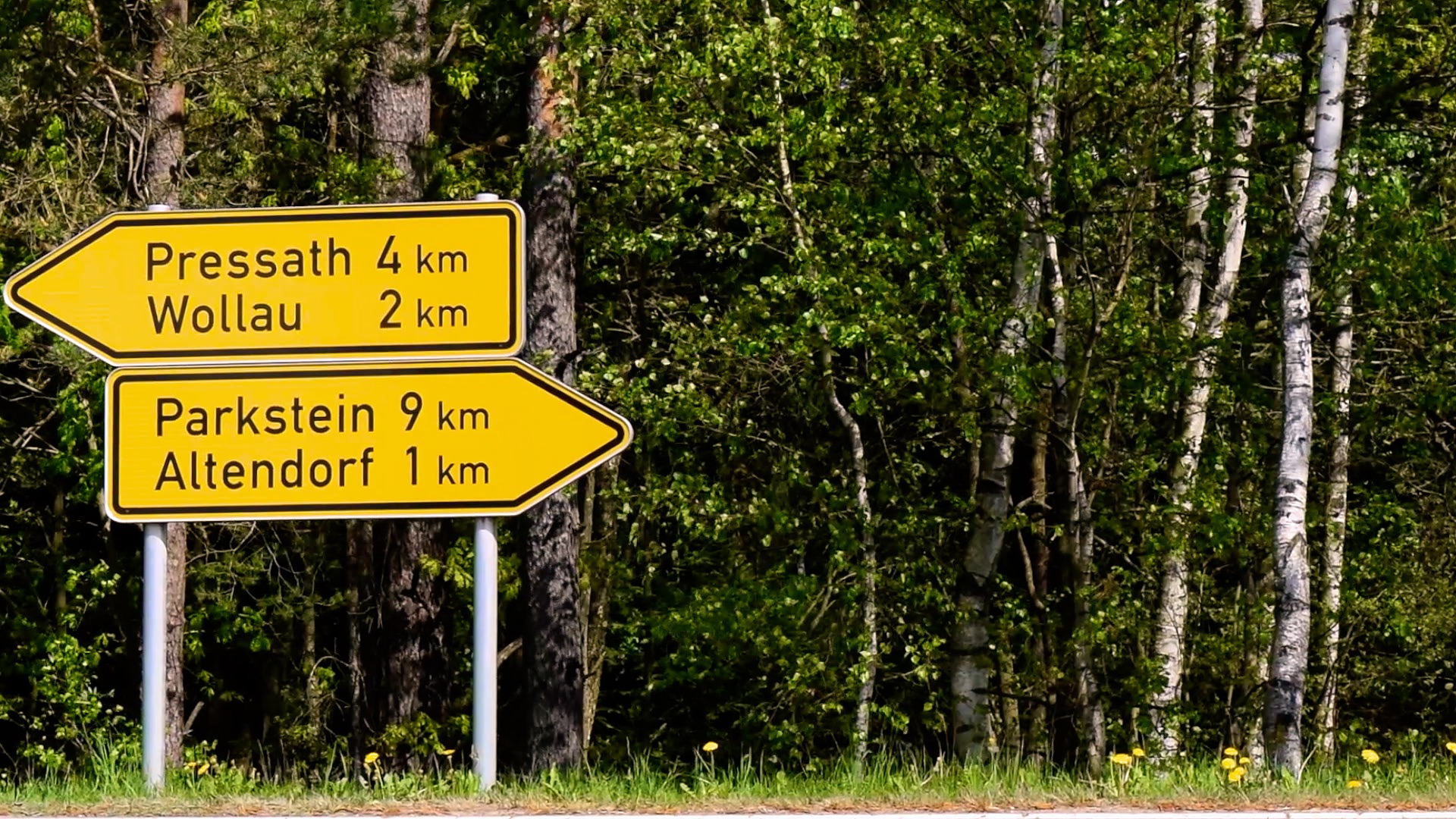 May 1st Holiday: What Is a Maypole (Maibaum)? - Living in Germany