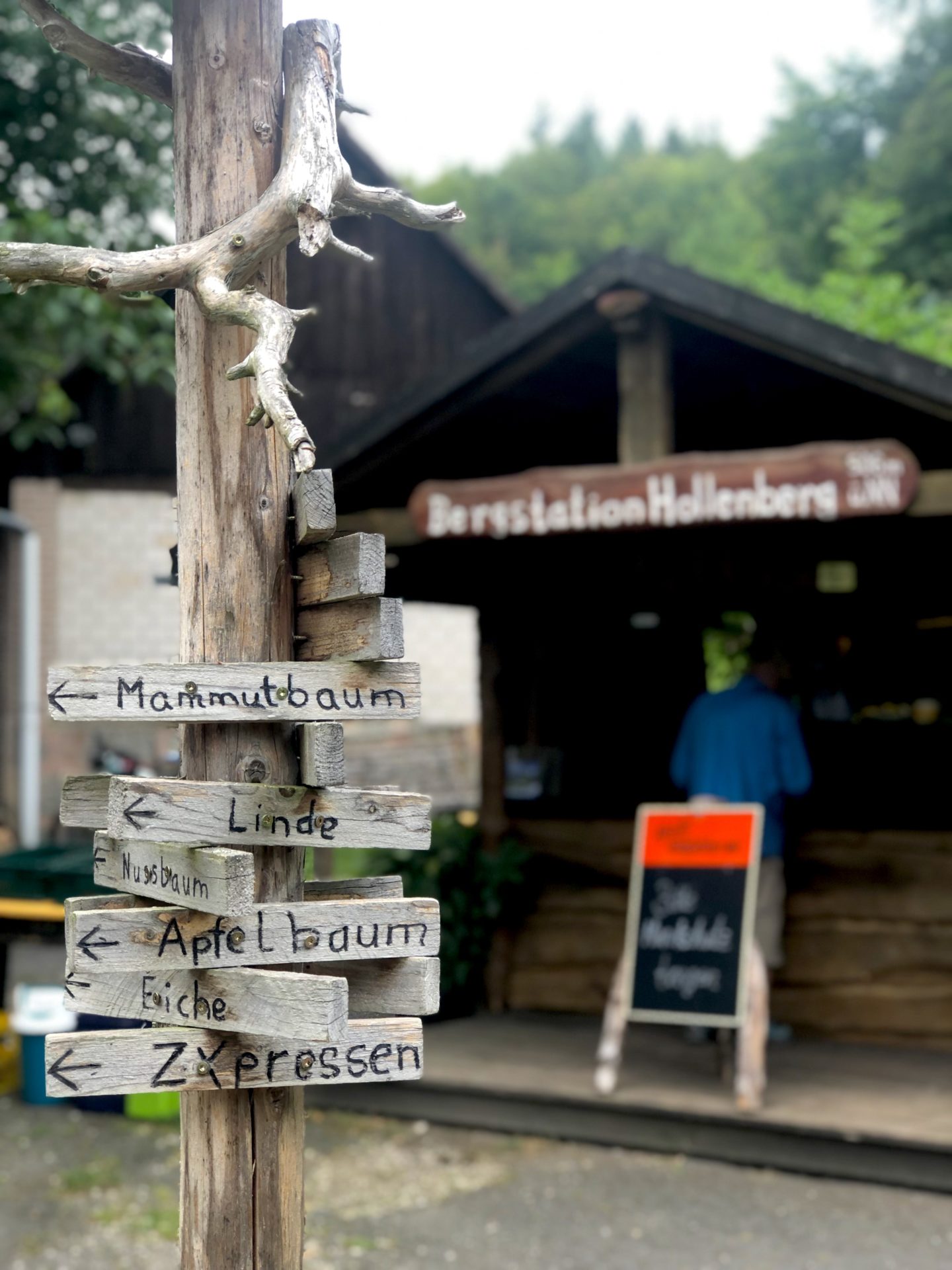 Things to Do in Pottenstein, Germany: Devil's Cave and Sommerrodelbahn