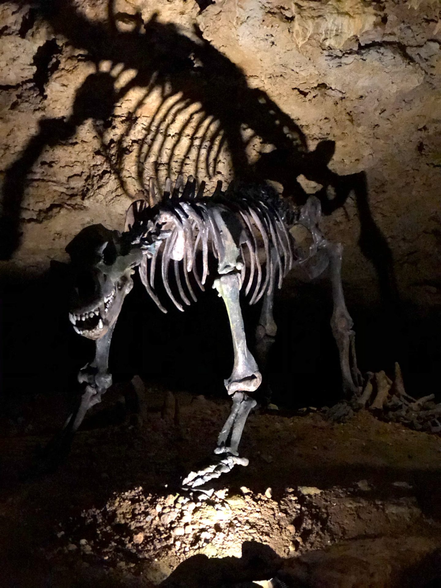 Things to Do in Pottenstein, Germany: Devil's Cave and Sommerrodelbahn