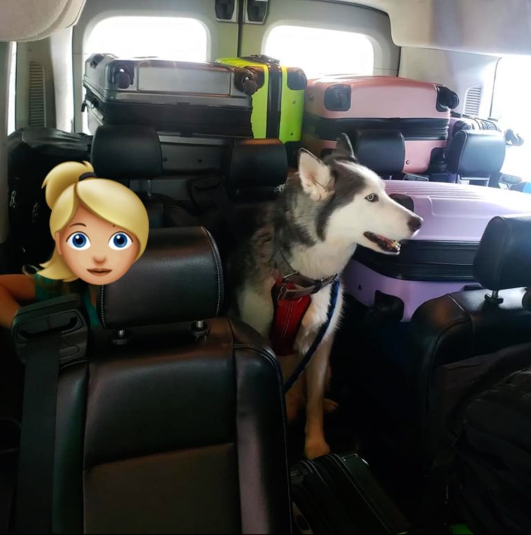 How to PCS to Germany on a Commercial vs. AMC Patriot Express Flight